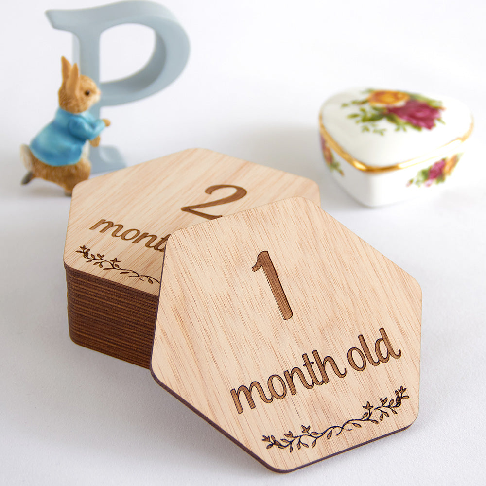 Set of 12 Monthly Milestone Plaques – Minting Memories